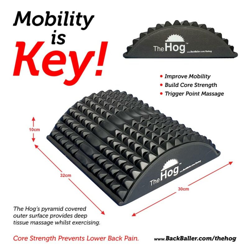 The Hog / Back-Stretcher - Fitness Equipment Ireland | Best for buying ...