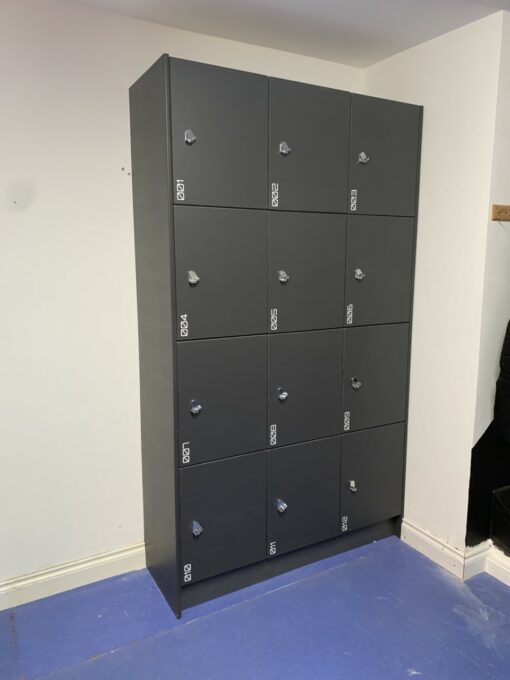 Gym Lockers (12 Doors) - Fitness Equipment Ireland | Best for buying ...
