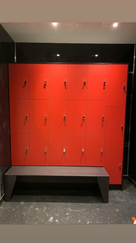 Gym Lockers (12 Doors) - Fitness Equipment Ireland | Best for buying ...
