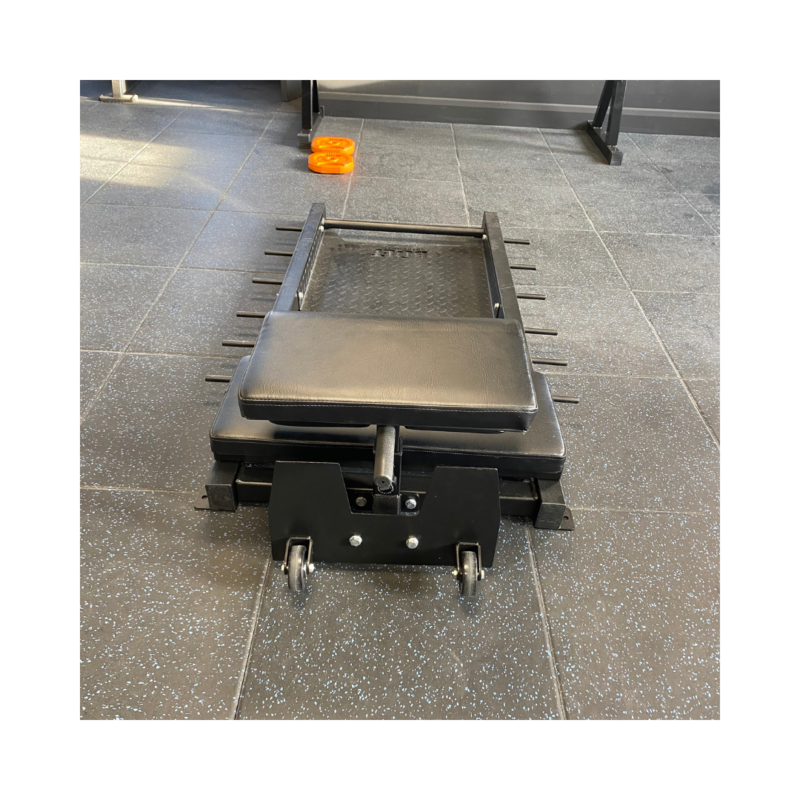 Bolt Strength Hip Thrust / Nordic Curl Bench - Fitness Equipment ...
