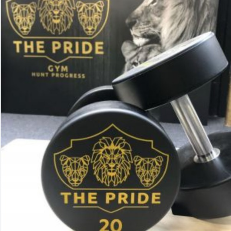 Custom Logo Round Dumbbells - Fitness Equipment Ireland | Best for ...