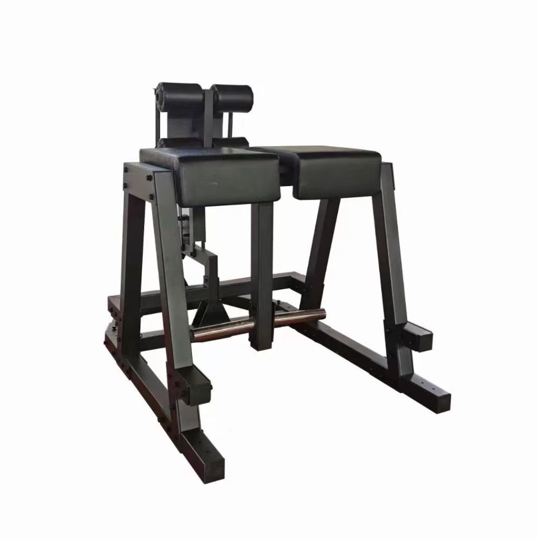 Forteza Pro Series Reverse Hyper / GHD - Fitness Equipment Ireland ...